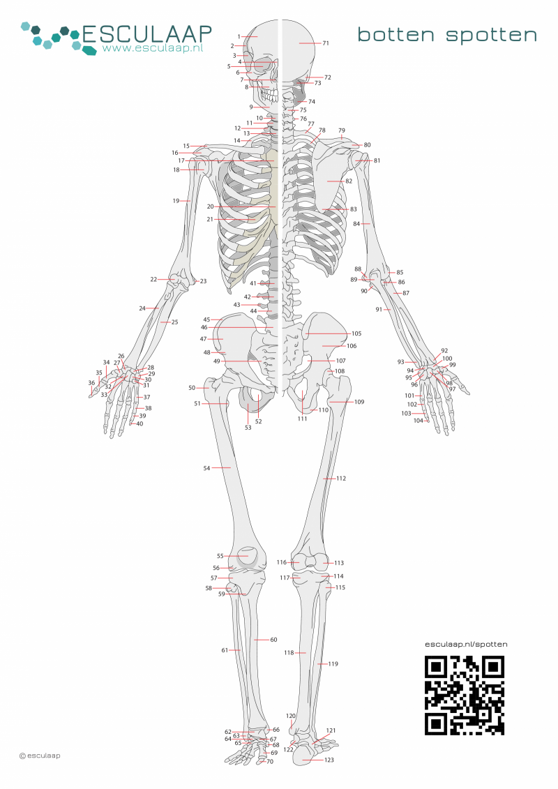 ESCULAAP | Zakkaartje | Botten Spotten